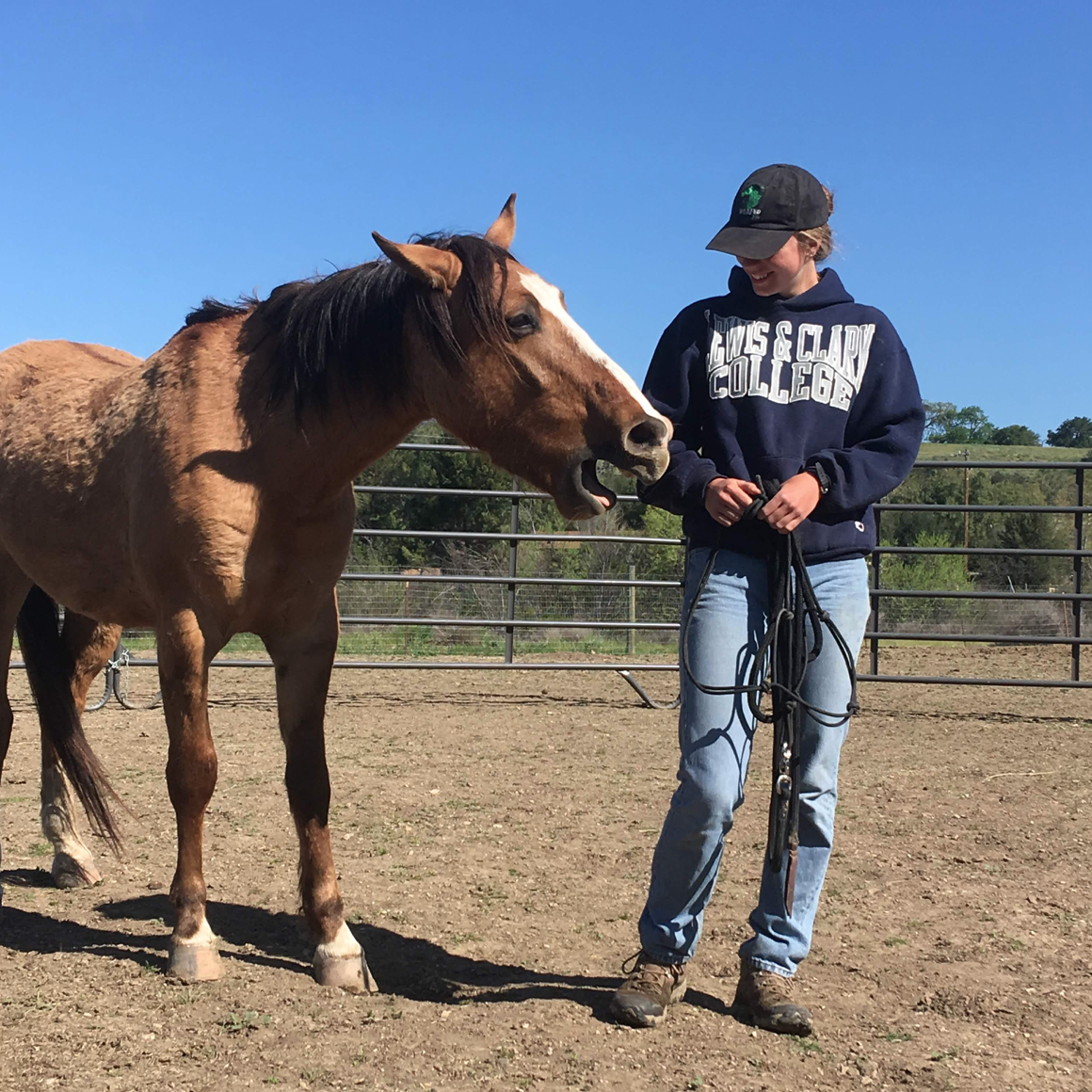 Senior Project: How to Tame a Mustang | Midland School